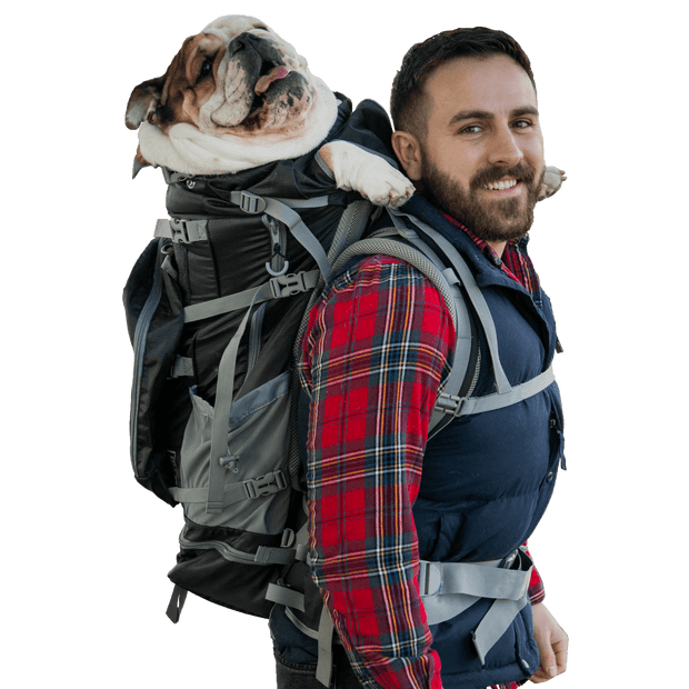 Pet carrier backpack large store