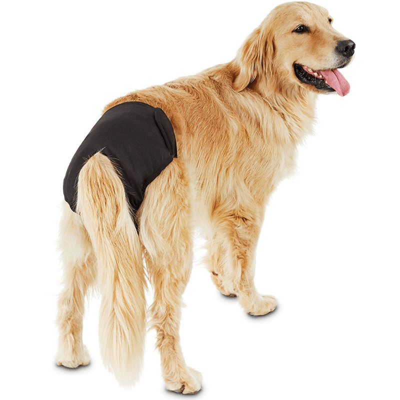 Dog Incontinence products – iloveleia.com