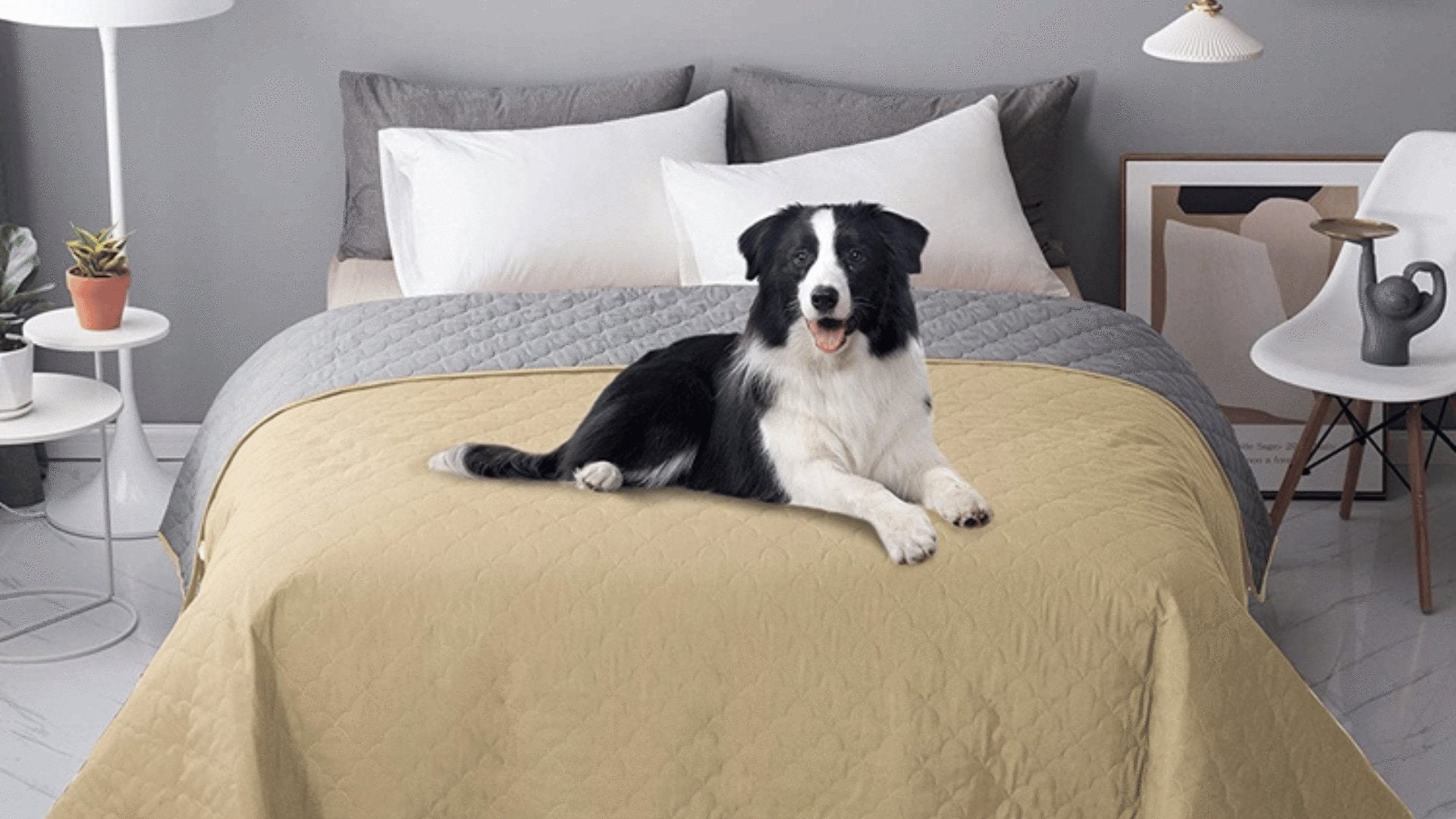 Waterproof Dog Cover – iloveleia.com