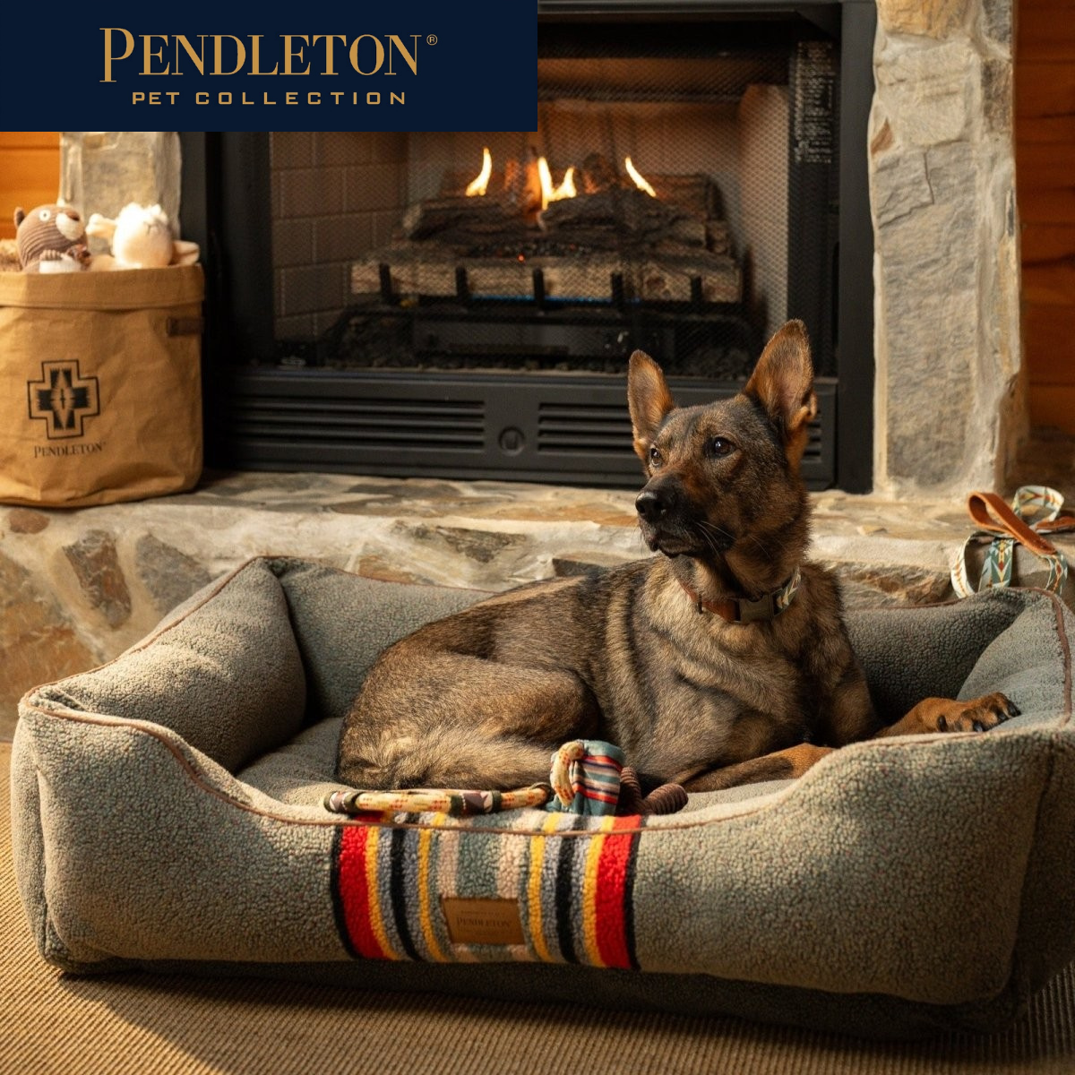 Orthopedic dog beds | Senior Dog Collection
